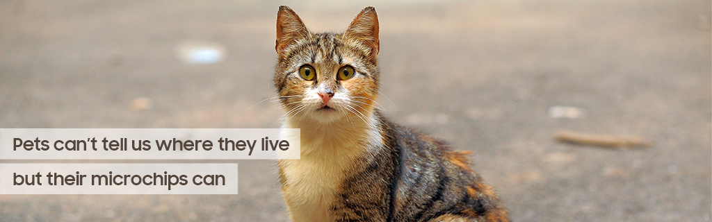 Home | Virbac Backhome